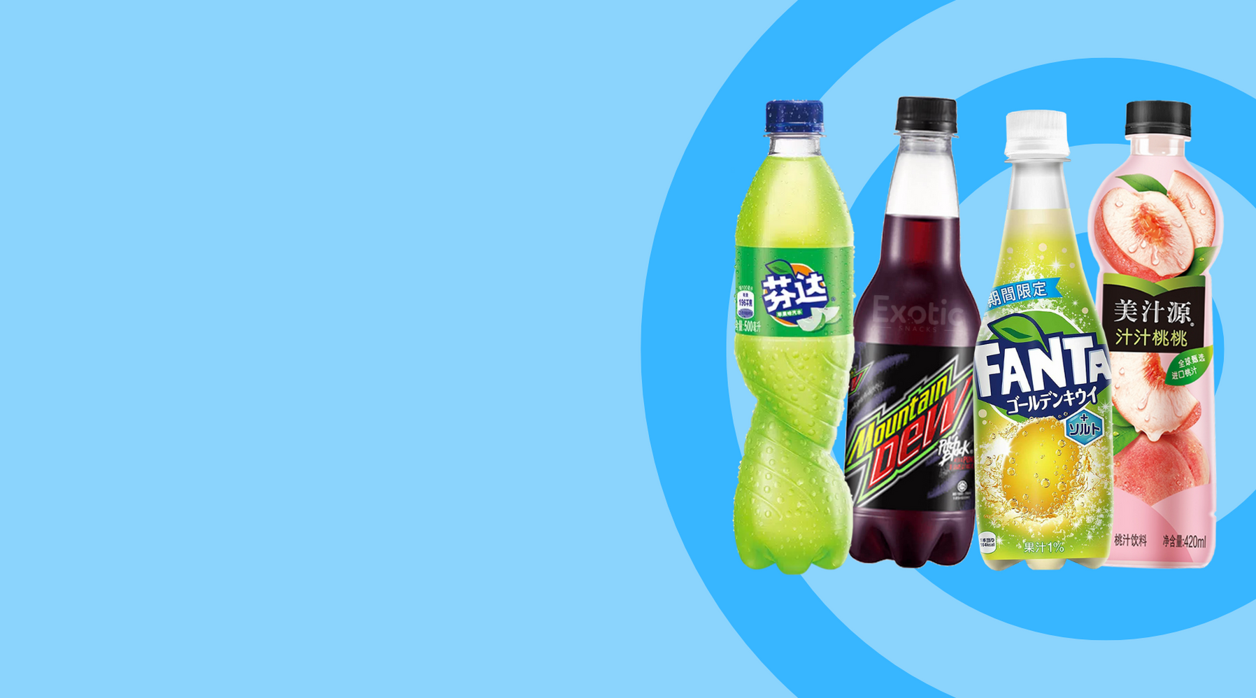 Exotic Snacks Company